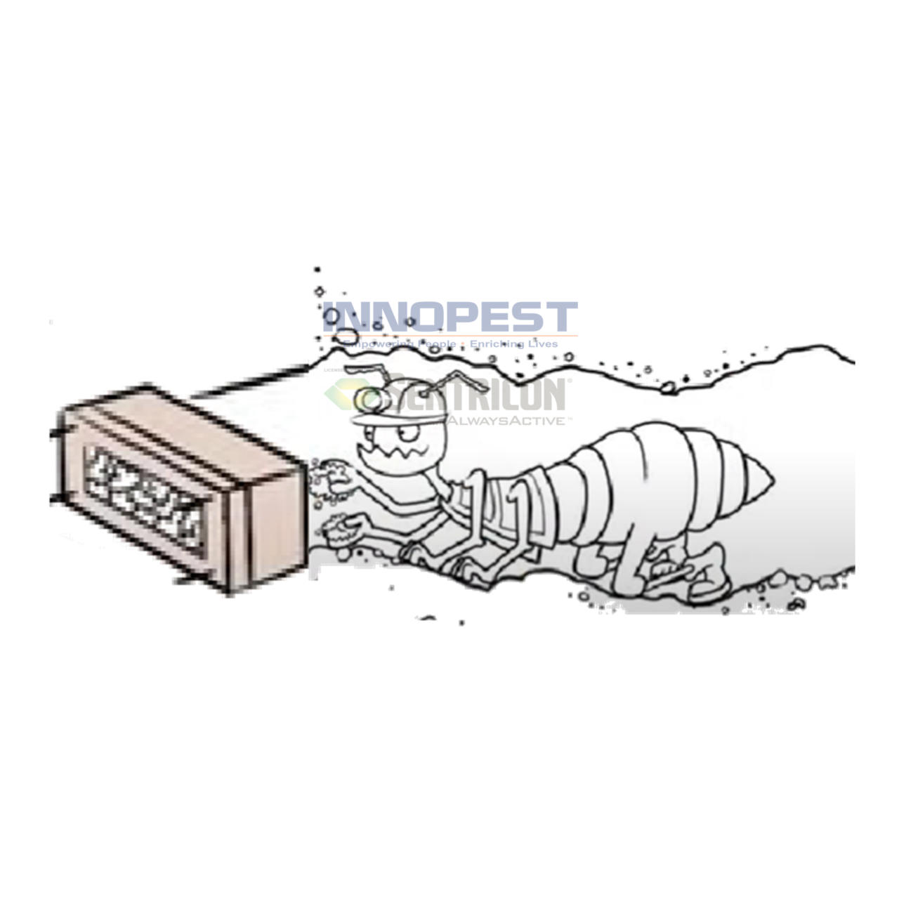 Professional Termite Control Services - 10 Year Program & Warranty ...
