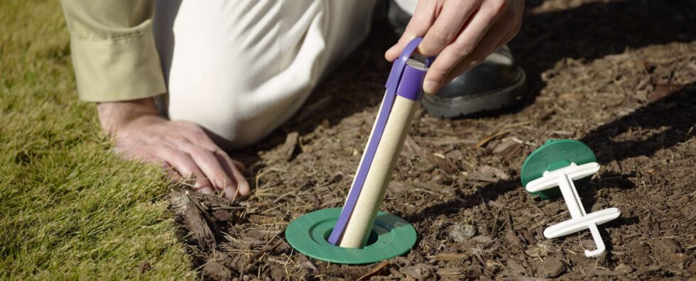 Professional Termite Control Services - 10 Year Program & Warranty ...